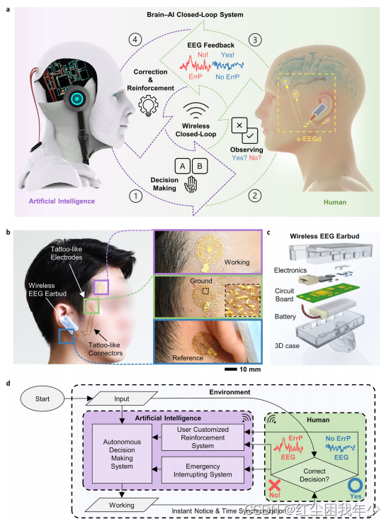 论文阅读-EEG（一）Wearable EEG electronics for a Brain–AI Closed-Loop System ...