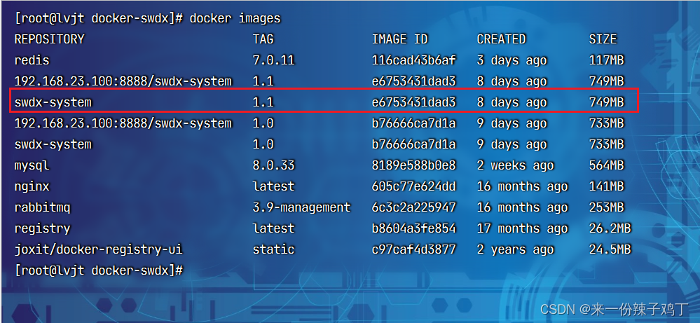 docker部署springboot项目（二）：基于java8构建springboot项目_jdk8 springboot_来一份辣子鸡丁的博客-CSDN博客