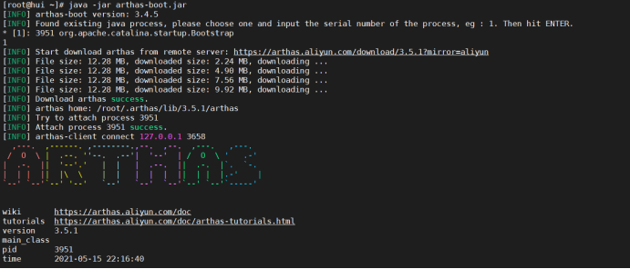 Arthas（阿尔萨斯） 的安装与使用_arthas下载安装教程-CSDN博客