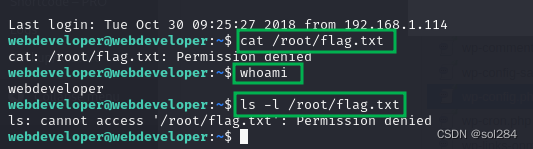 【精选】网络渗透测试实验四 CTF实践_ctf arp协议-CSDN博客