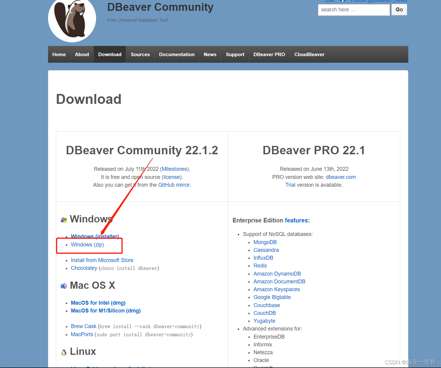 Dbeaver Installer Vs Zip at Makayla Hampton blog