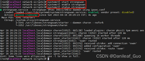 Linux配置strongSwan-CSDN博客