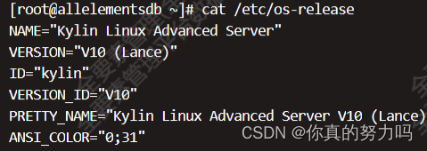 银河麒麟V10安装mysql-CSDN博客
