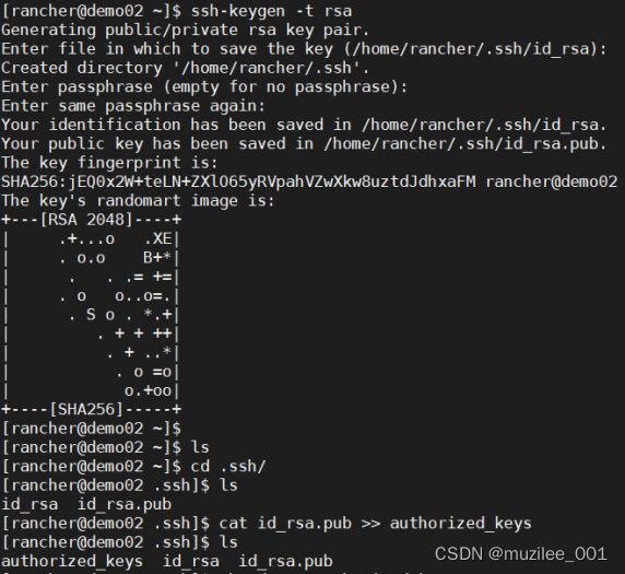 使用rke部署k8s集群_rke的免密怎么配置-CSDN博客