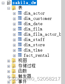 ETL第八章实践项目——构建DVD租赁商店数据仓库（sakila样本数据库）_构建dvd租赁商店数据仓库实训 sakila数据库建立-CSDN博客