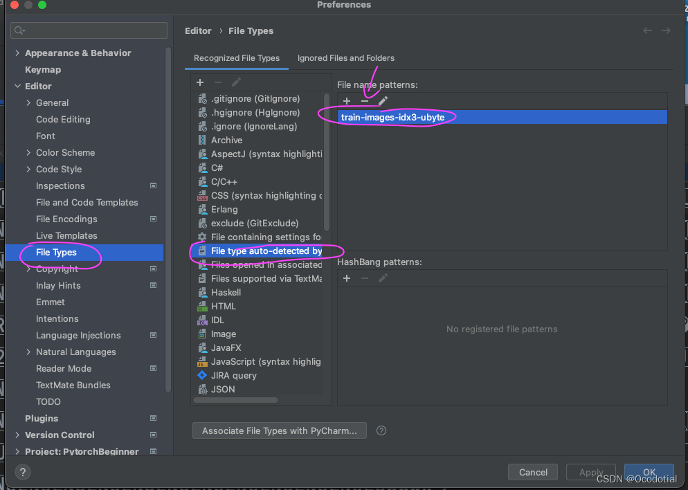 MNIST数据集在Pycharm上读取失败-pytorch入门-问题一_pycharm mnist数据集-CSDN博客