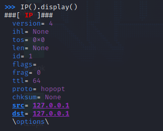 kali渗透之使用scapy定制数据包进行高级扫描_kali scapy-CSDN博客