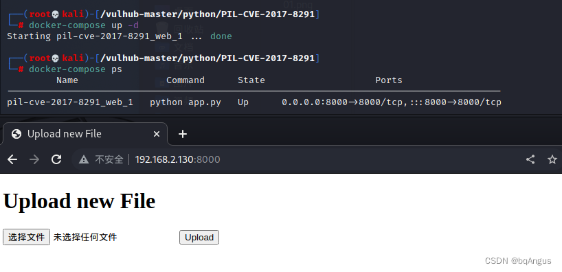 Python-PIL-远程命令执行（GhostButt-）（CVE-2017-8291）_复现python pil (ghostbutt cve-2017-8291 )漏洞-CSDN博客