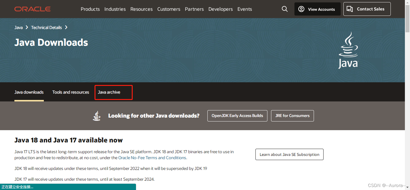 新手安装JDK教程_zulujdk-CSDN博客