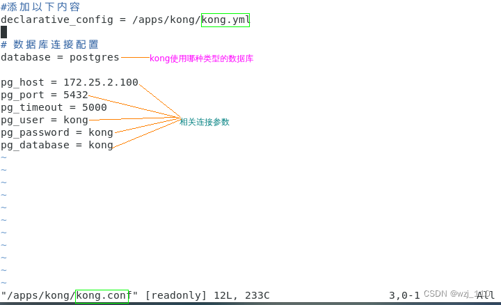Kong(一)概览和安装_kong安装-CSDN博客