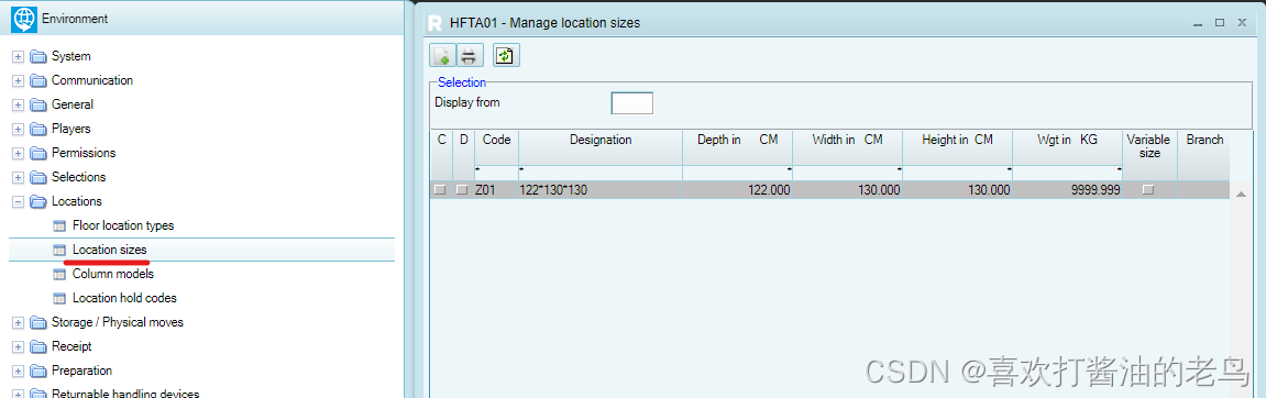 Reflex WMS入门系列六：几个基本概念II_wms系统上默认的长度单位长度是什么-CSDN博客
