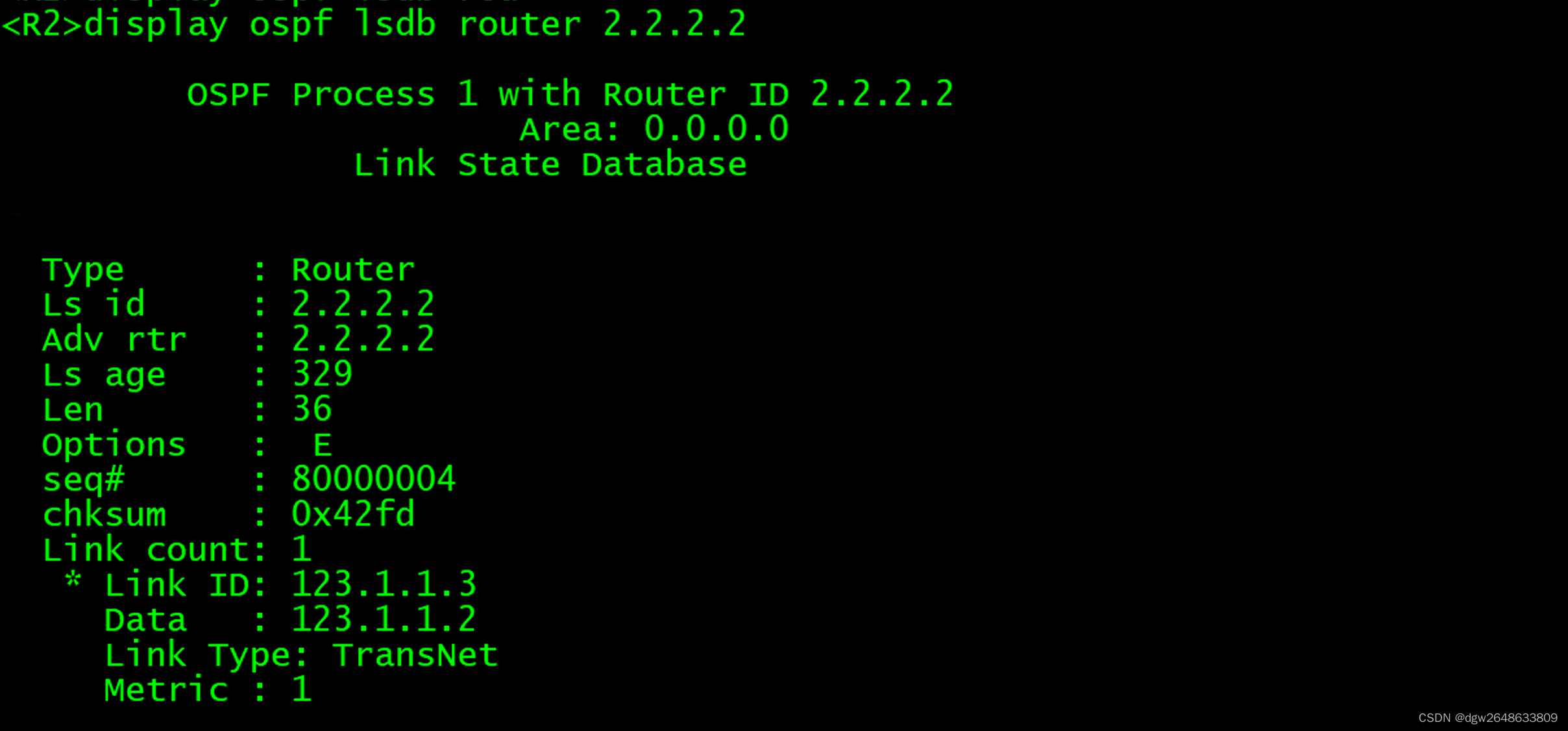 初识OSPF_ospf update 组播-CSDN博客