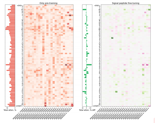 论文解读：ProteinBERT: a universal deep-learning model of protein sequence and function-CSDN博客