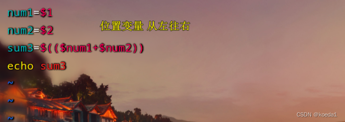 shell编程规范与变量_linux shell echo int类型变量-CSDN博客