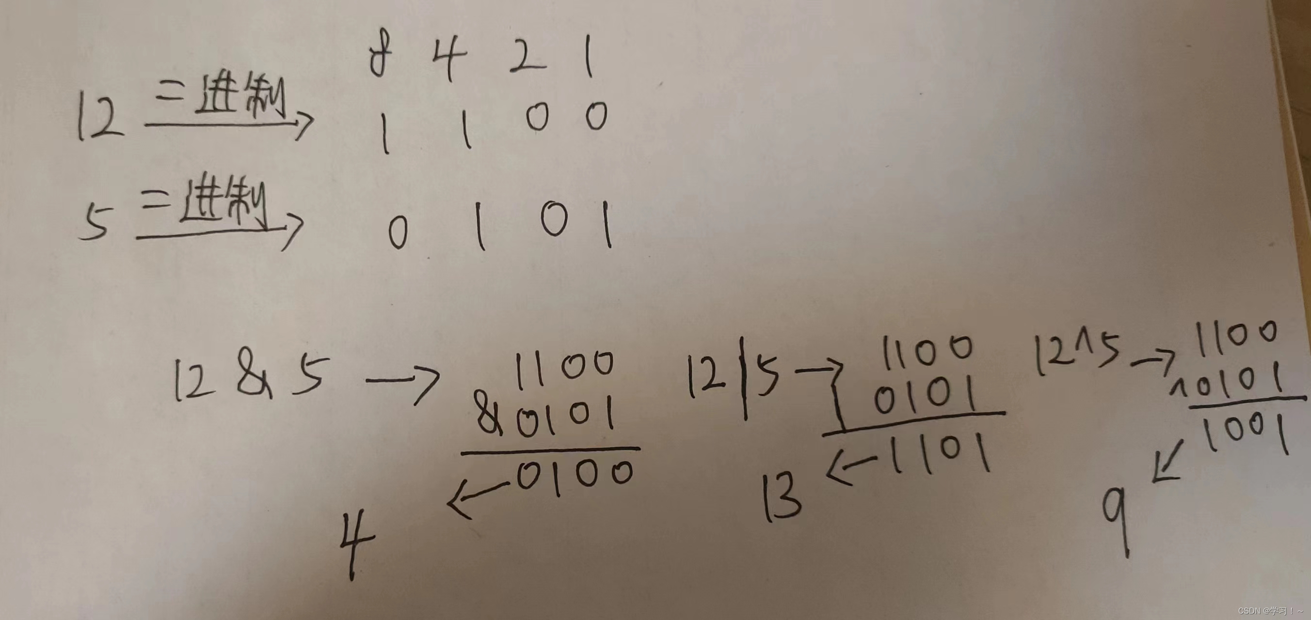 Mysql运算符mysql 取反 Csdn博客 