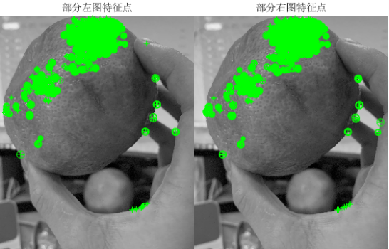 ORB特征提取和匹配_orb特征点匹配matlab-CSDN博客