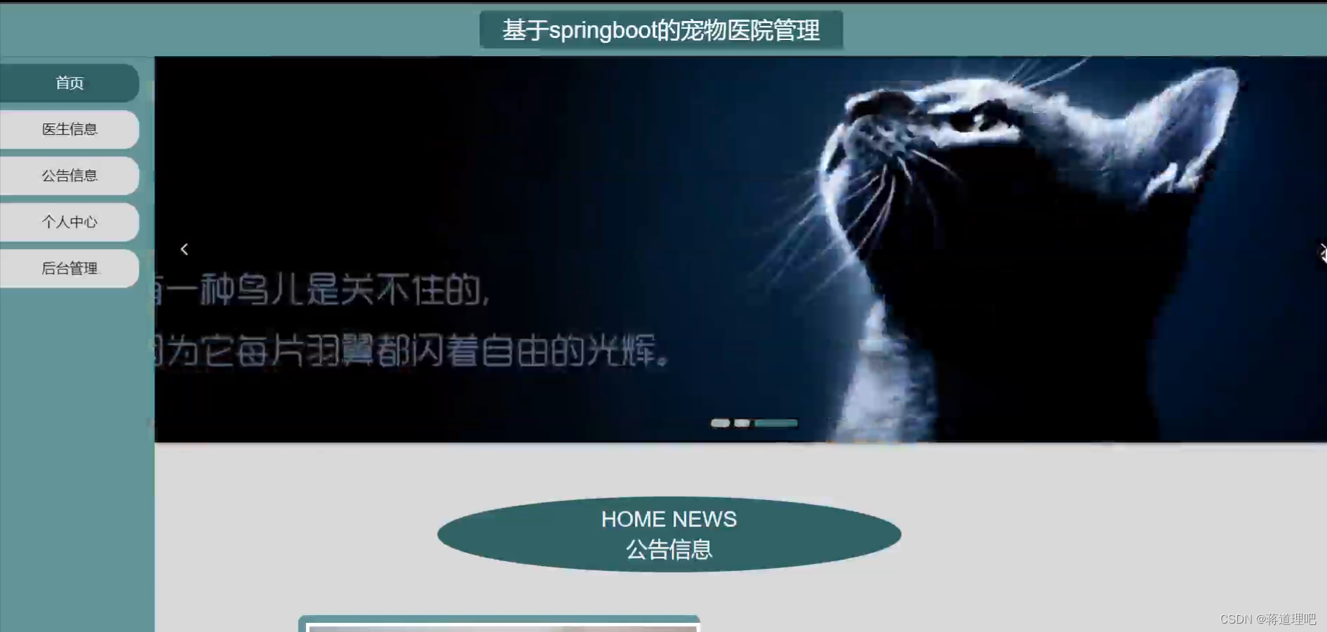 Springboot毕设项目基于springboot的宠物医院管理7teip(java Vue Mybatis Maven Mysql