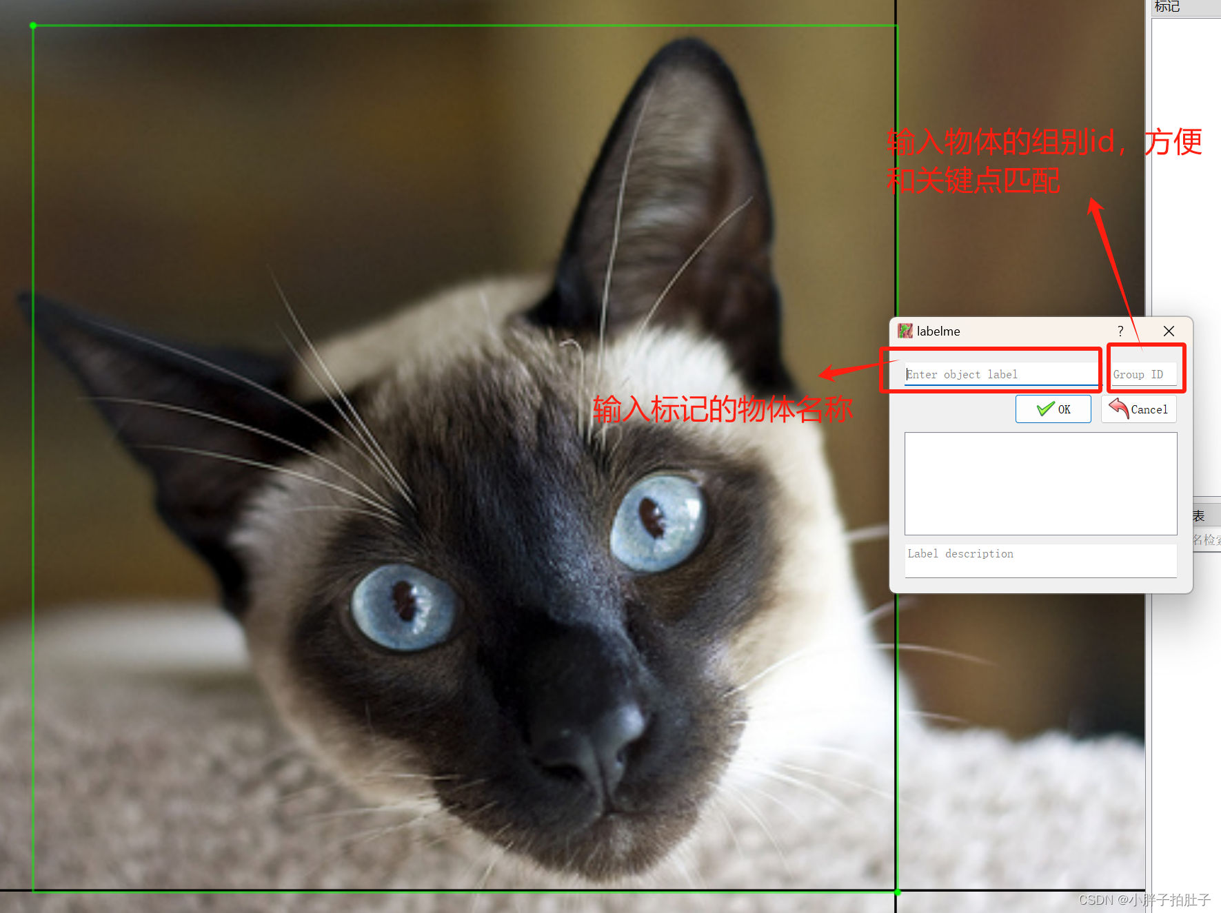 yolov8制作并训练自己的关键点检测模型pose模型（纯小白也能会）_yolo pose关键点检测labelme json转coco-CSDN博客