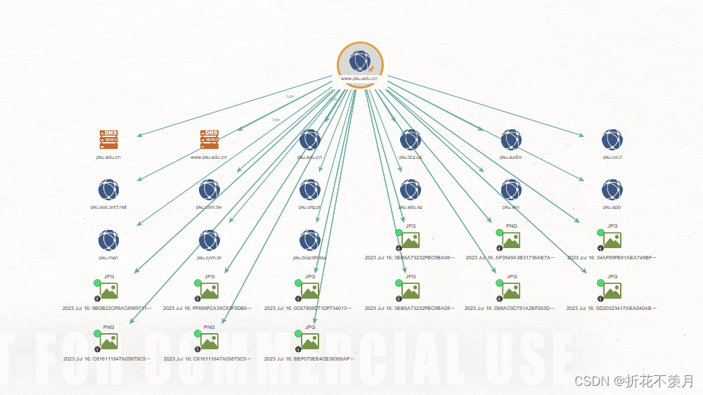 Maltego信息收集工具使用_maltego 使用-CSDN博客