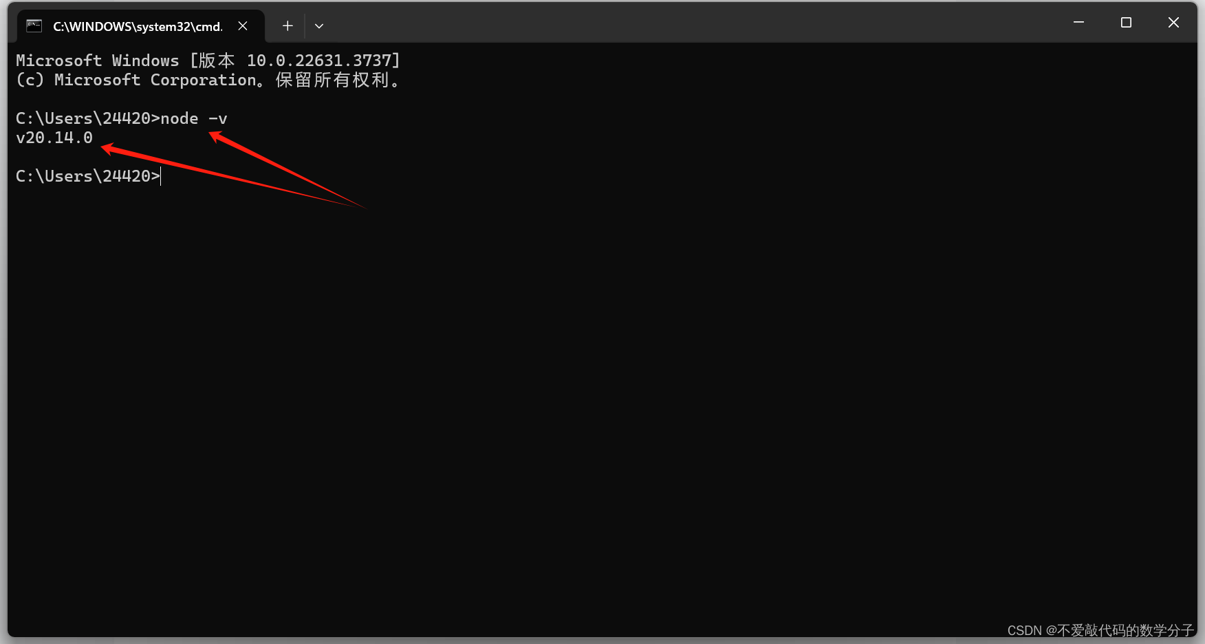若依安装教程（保姆级教程）-CSDN博客