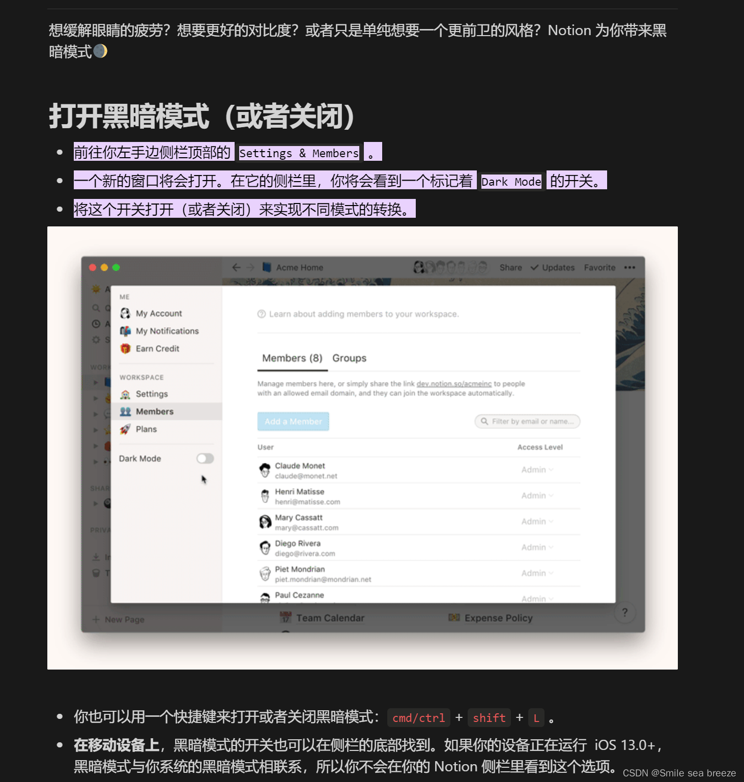 Notion 背景黑暗模式更换方法_notion黑色背景-CSDN博客