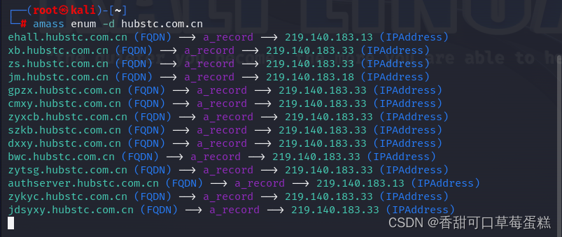 子域名收集神器：Amass 保姆级教程（附链接）_amass工具-CSDN博客