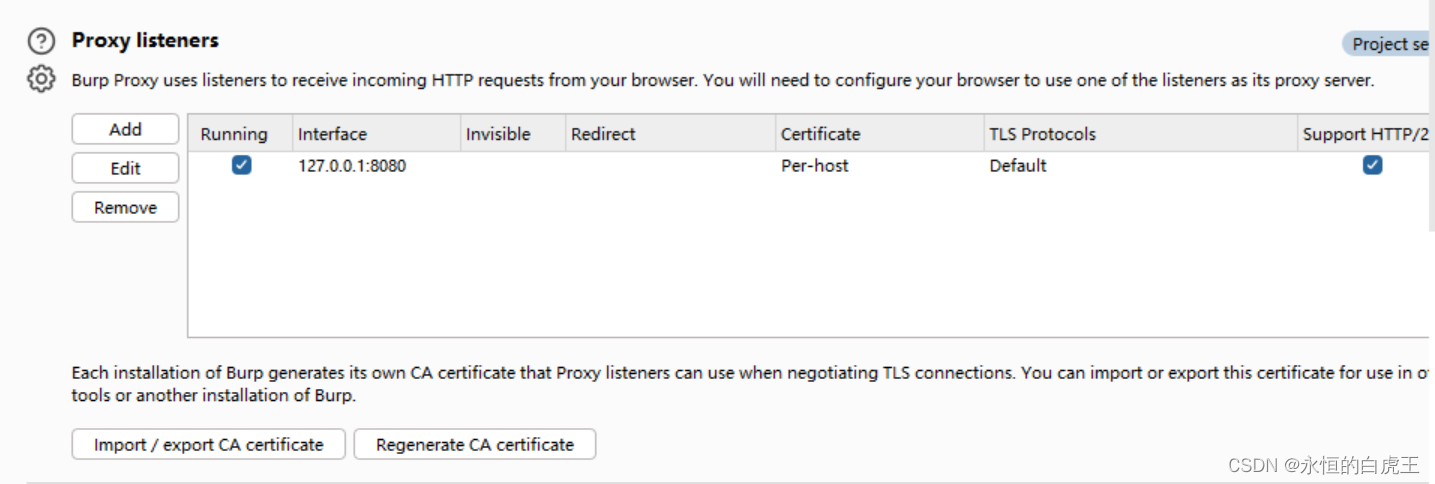 burpsuite设置浏览器代理_设置浏览器打开burp-CSDN博客