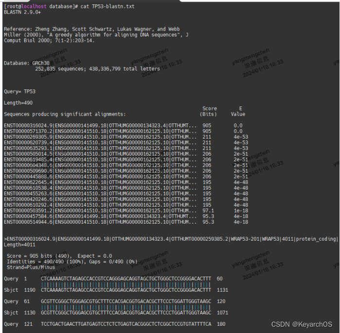 KeyarchOS系统下本地blast+安装与使用教程_blast建库-CSDN博客