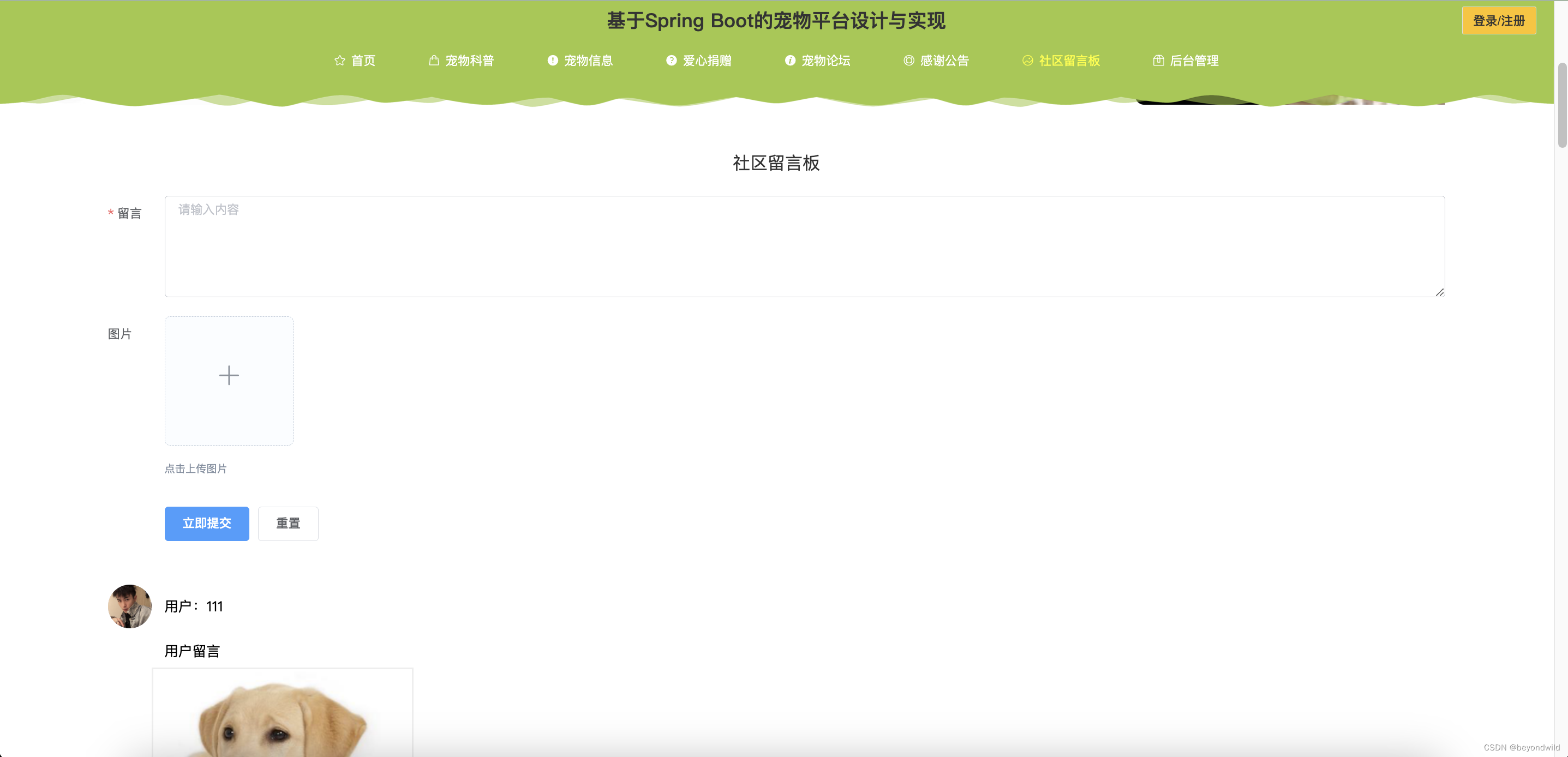 Java项目:宠物平台系统(java+SpringBoot+Mybaits+Vue+elementui+mysql)-CSDN博客