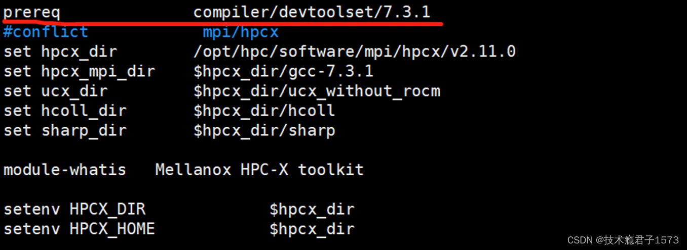 Linux基础 Module命令使用（理论实战）linux Module Csdn博客