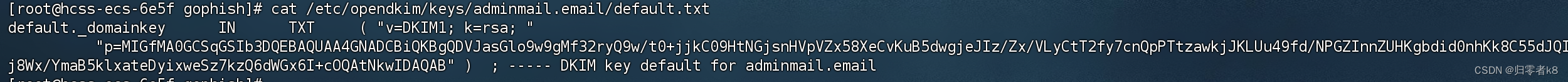 钓鱼邮件测试平台搭建Gophish+EwoMail+DKIM_gophish docker-CSDN博客