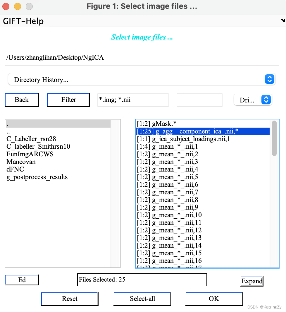 独立成分分析中的成分识别——based on GIFT_gift component labeller-CSDN博客