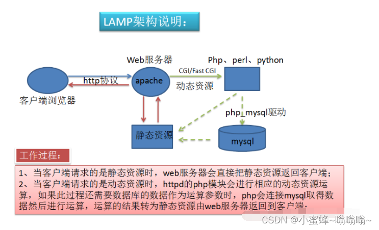 LAMP配置与应用-CSDN博客