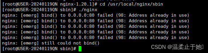 Linux下安装Nginx步骤_linux的nginx1.20.1-CSDN博客