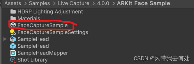 Unity Face Capture面部捕捉方案教程（需要苹果手机）——安装_unity面捕插件-CSDN博客