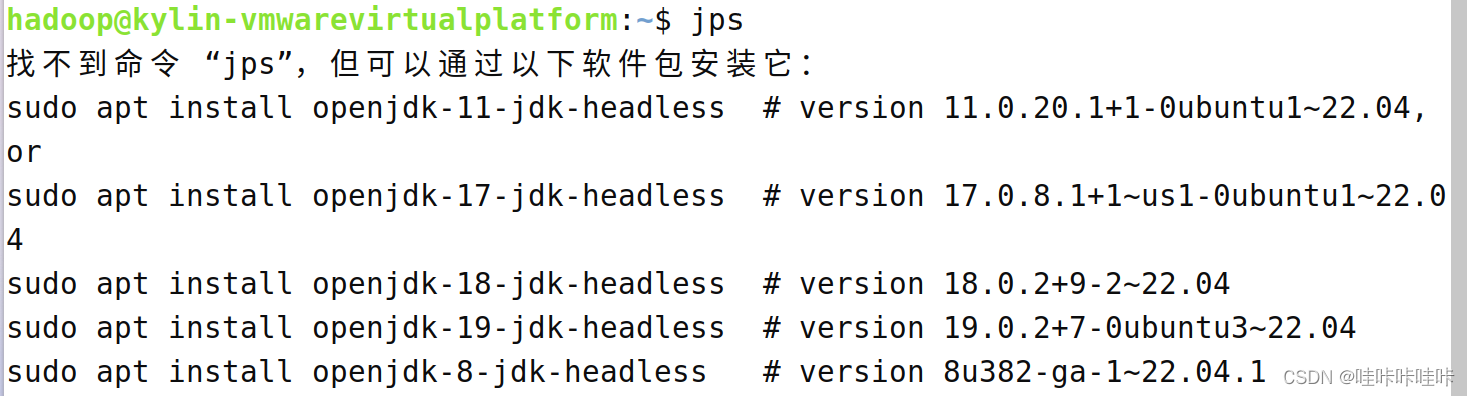 已经安装Java但使用jps时提示：找不到命令 “jps”，但可以通过以下软件包安装它_jps命令找不到-CSDN博客