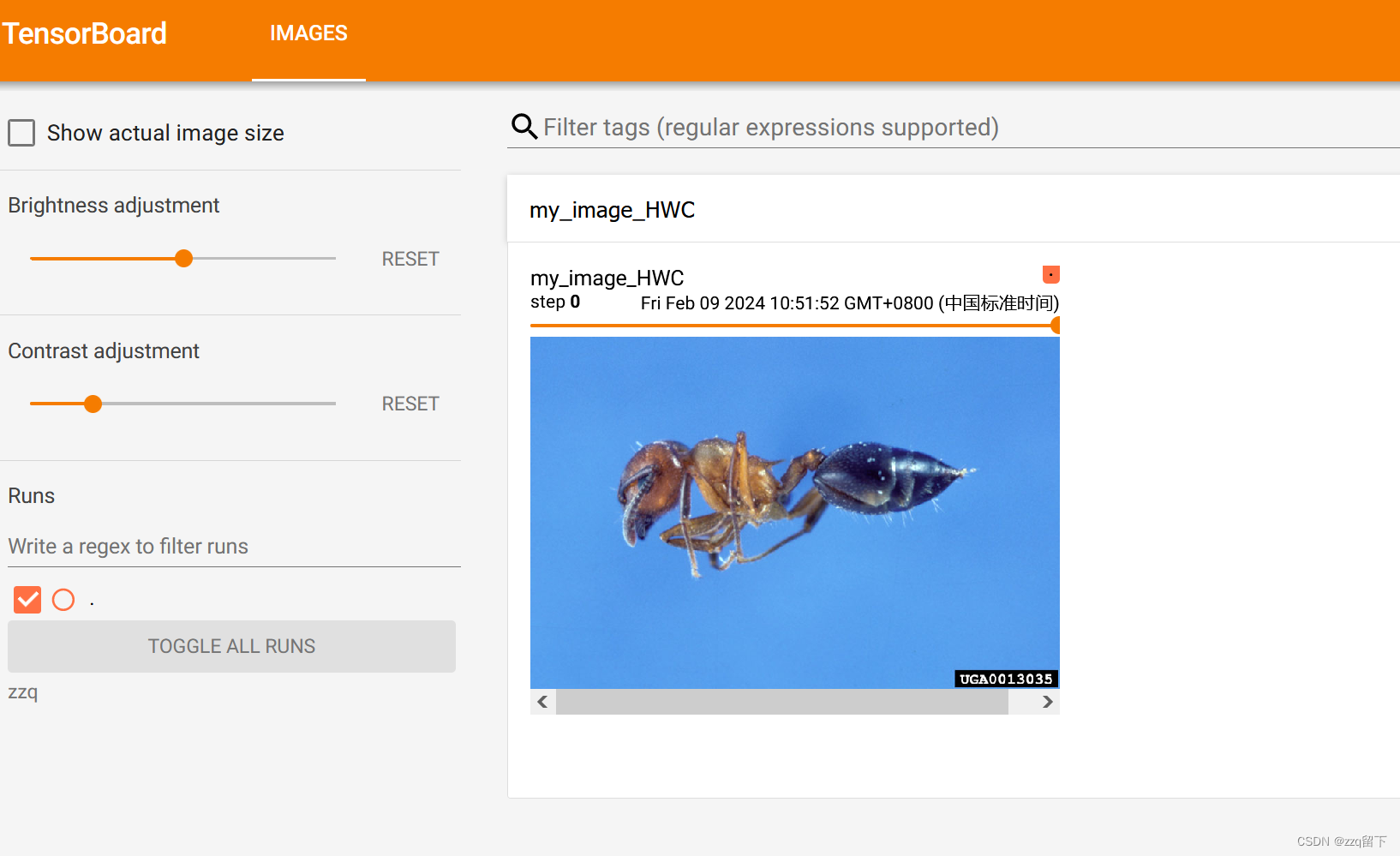 深度学习：pytorch 图片呈现 tensorboard (add_image)控制台自学调试检验，含终极代码_怎样将tensorboard网页中的图片转换为代码-CSDN博客