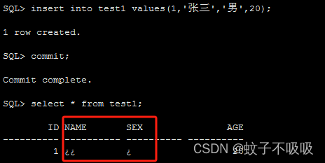 Linux Oracle 11g默认字符集：WE8MSWIN1252修改为AL32UTF8解决方案之简易记录_oracle字符集1252-CSDN博客