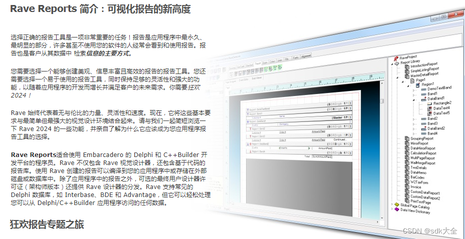 Nevrona Rave Reports 2024 for Delphi Crack_rave reports 2024序号-CSDN博客