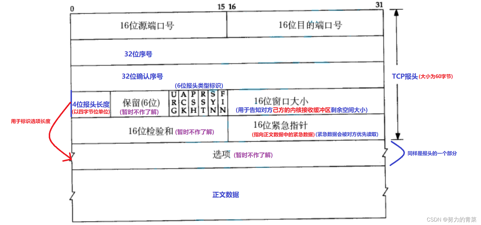 深刻解析tcp协议 传输层数据收发机制和内核视角下的数据报文收发过程tcp报文发送和接收过程 Csdn博客