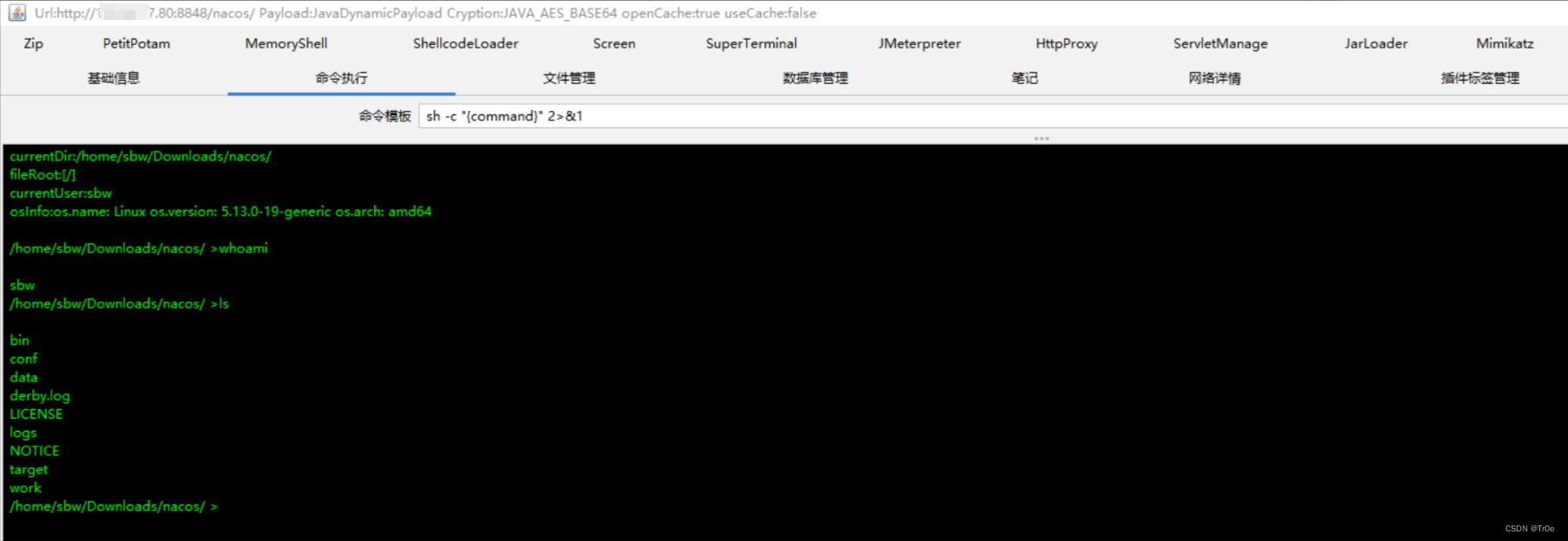 Nacos系统历史CVE漏洞的复现分析与检测_nacos历史漏洞-CSDN博客