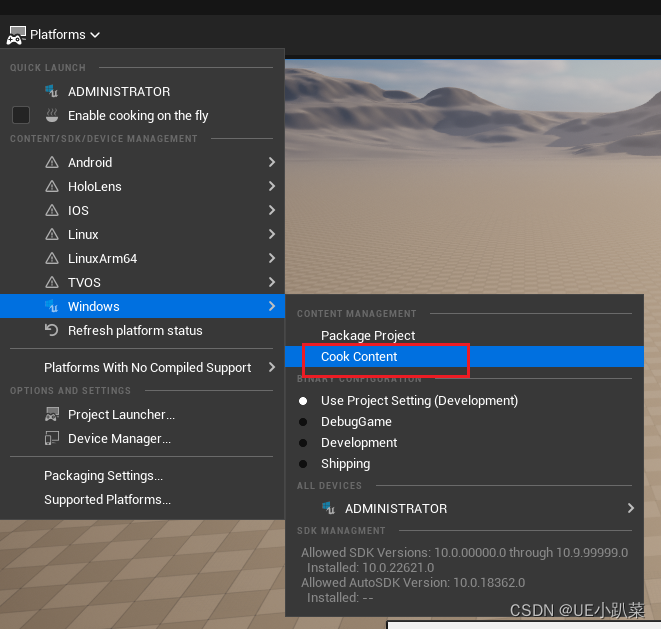 UE 打包pak（命令行或代码）、 挂载pak、 加载pak_pak打包-CSDN博客