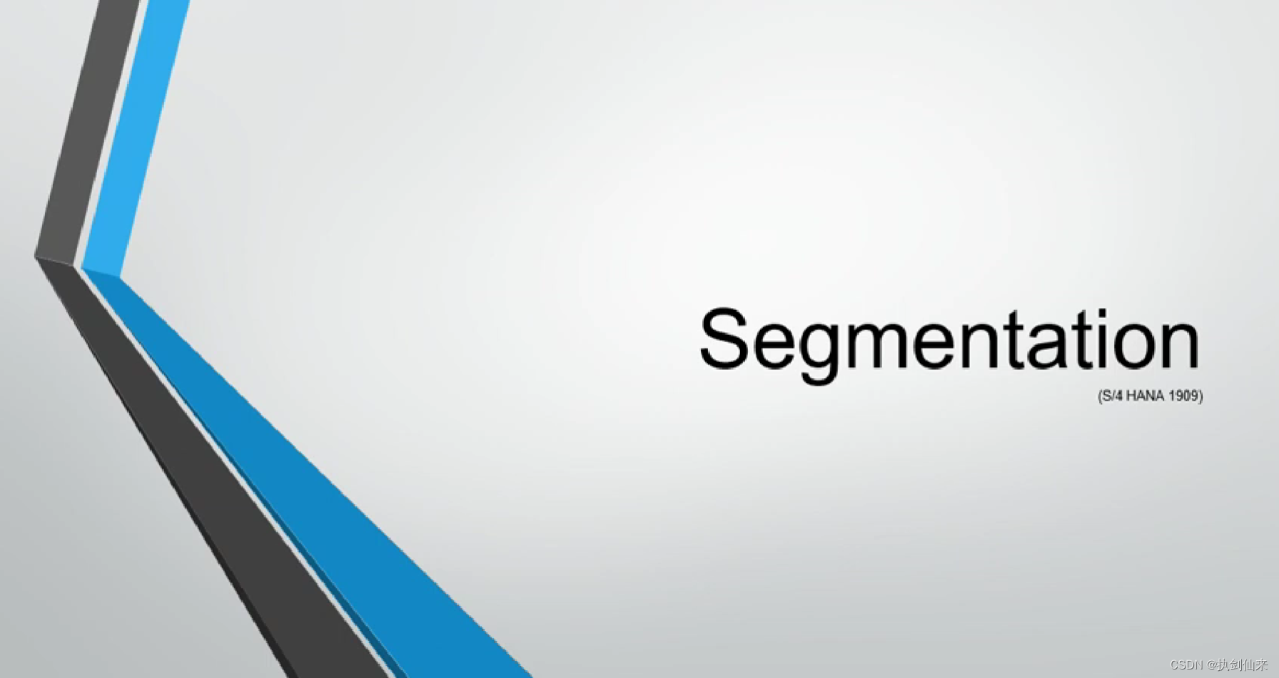 【PP那些事儿】SAP Segmentation 系列之认识_sap segmentation 功能-CSDN博客