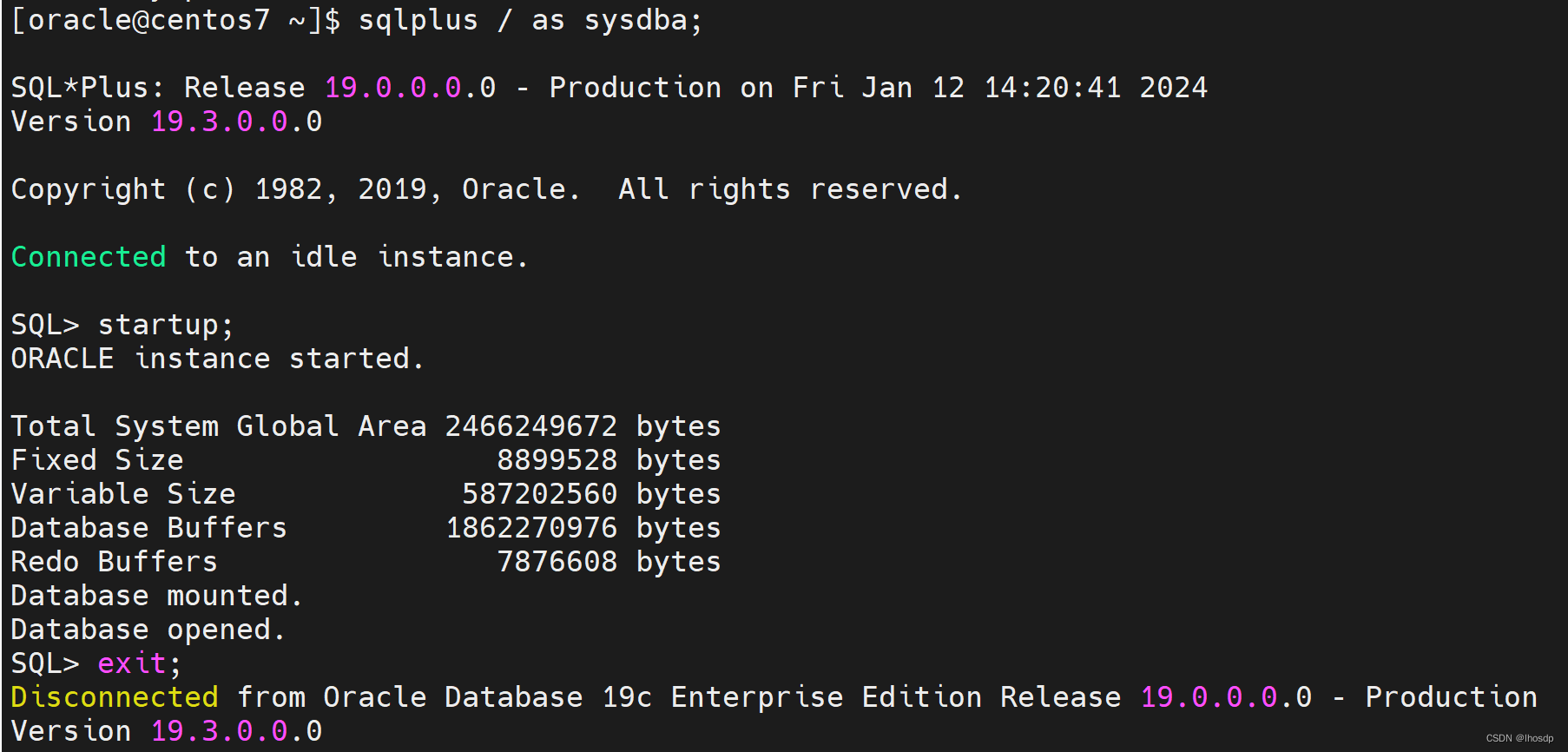 linux中重启oracle 19c操作_oracle19c重启数据库命令-CSDN博客