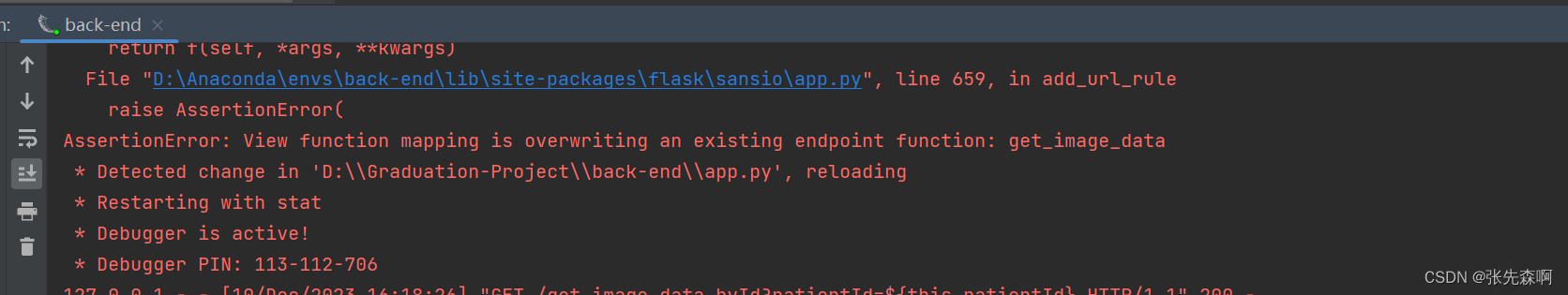 AssertionError: View function mapping is overwriting an existing endpoint function: get_image ...