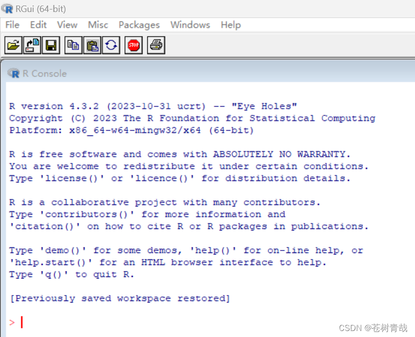 将rgui的语言修改为中文_rgui显示中文-CSDN博客