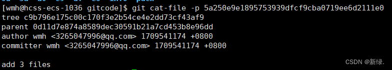 Git安装及基本操作_-bash: git: command not found-CSDN博客