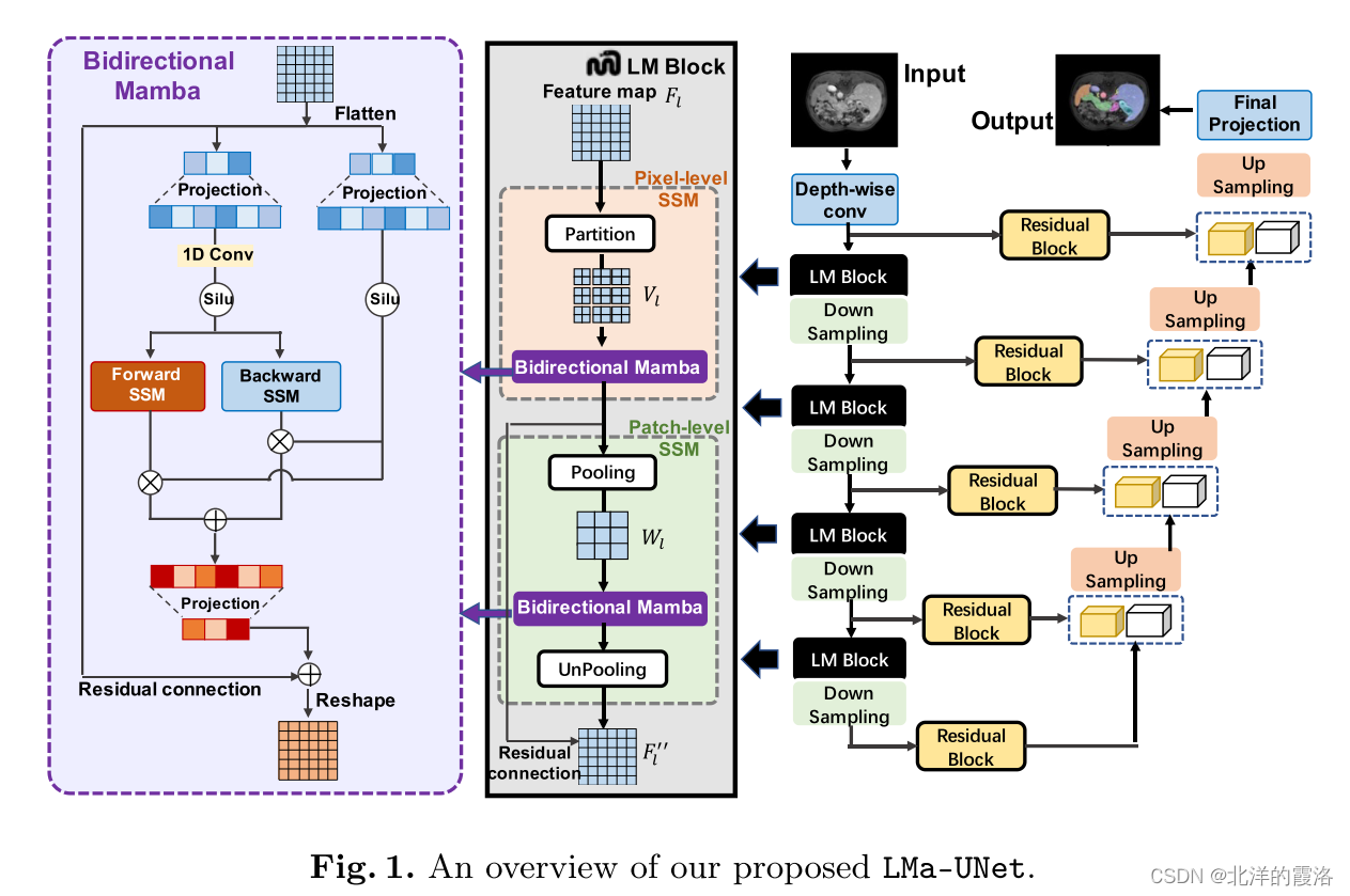 《Large Window-based Mamba UNet for Medical Image Segmentation:Beyond ...