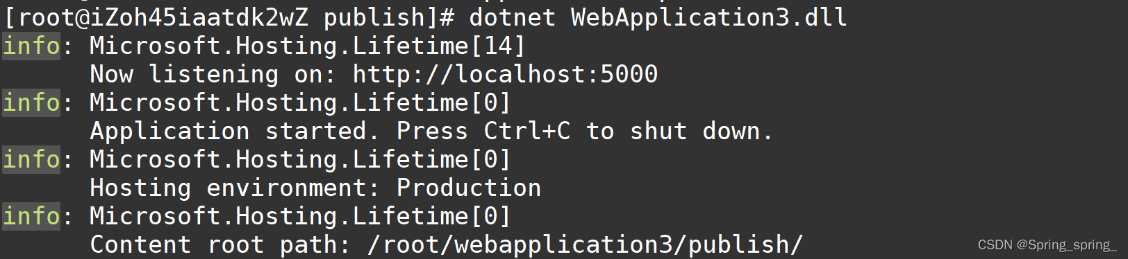 .Net Core WebApi在Linux/Windows服务器上部署_linux netcoreapi 文件服务-CSDN博客