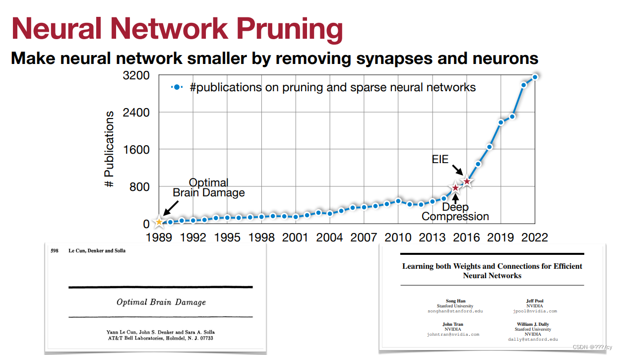 剪枝 Pruning | 剪枝系统性的介绍（持续更新）_magnitude-based pruning-CSDN博客
